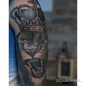 Tatuaże Lew (wzory i galeria) - strona 2 - dziarownia.pl