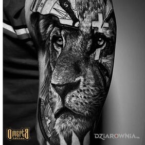 Tatuaże Lew (wzory i galeria) - dziarownia.pl
