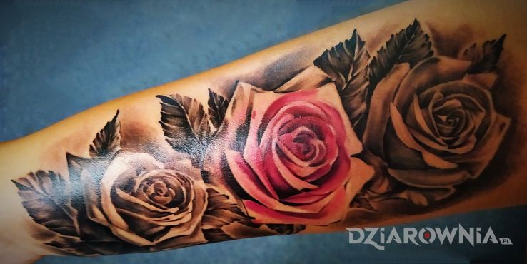Tatuaż róże d | Autor: Agniechaa - dziarownia.pl